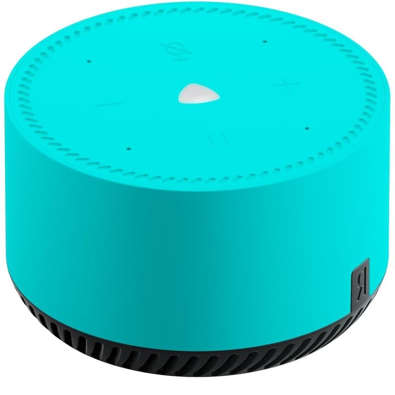 Умная колонка Яндекс Станция Лайт, Мята (YNDX-00025-GREEN) - купить по ...