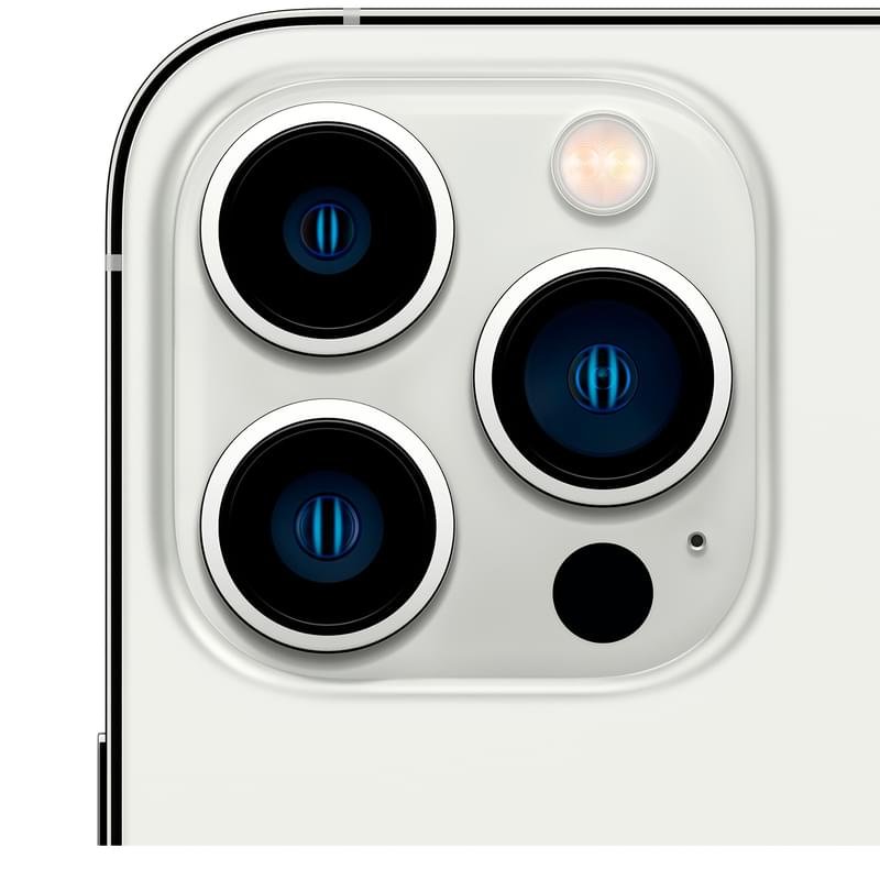Смартфон Apple iPhone 13 Pro Max 512GB Silver - купить по лучшей цене в ...