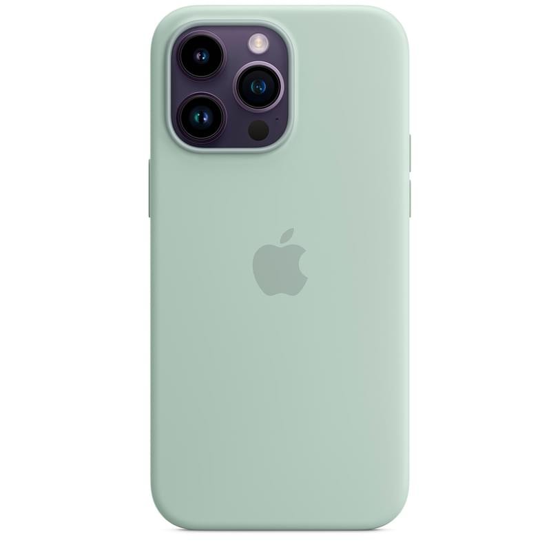 Чехол для iPhone 14 Pro Max, Silicone Case with MagSafe, Succulent ...